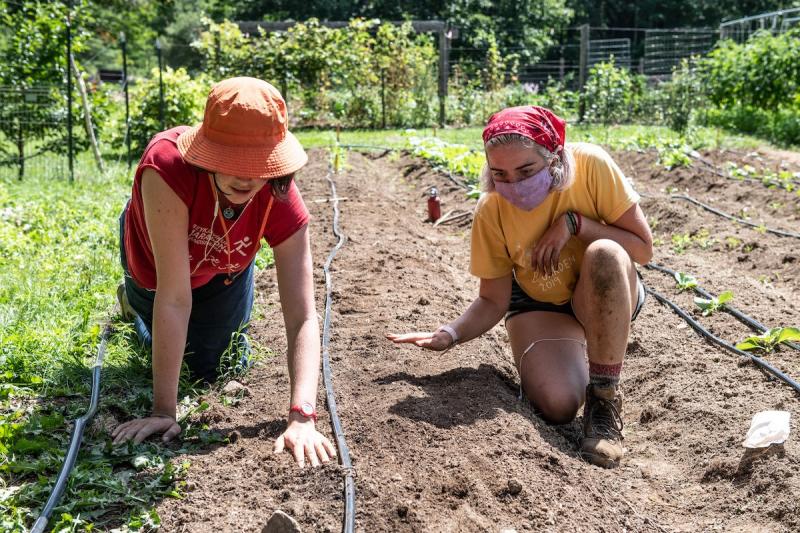 Veggies to Table accepting applications for an AmeriCorps Vista ... Veggies to Table accepting applications for an AmeriCorps Vista ...